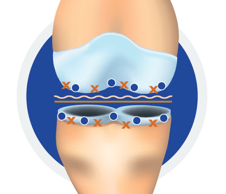 Hydrolyzed Chicken Collagen Type II - BIOFAC A/S