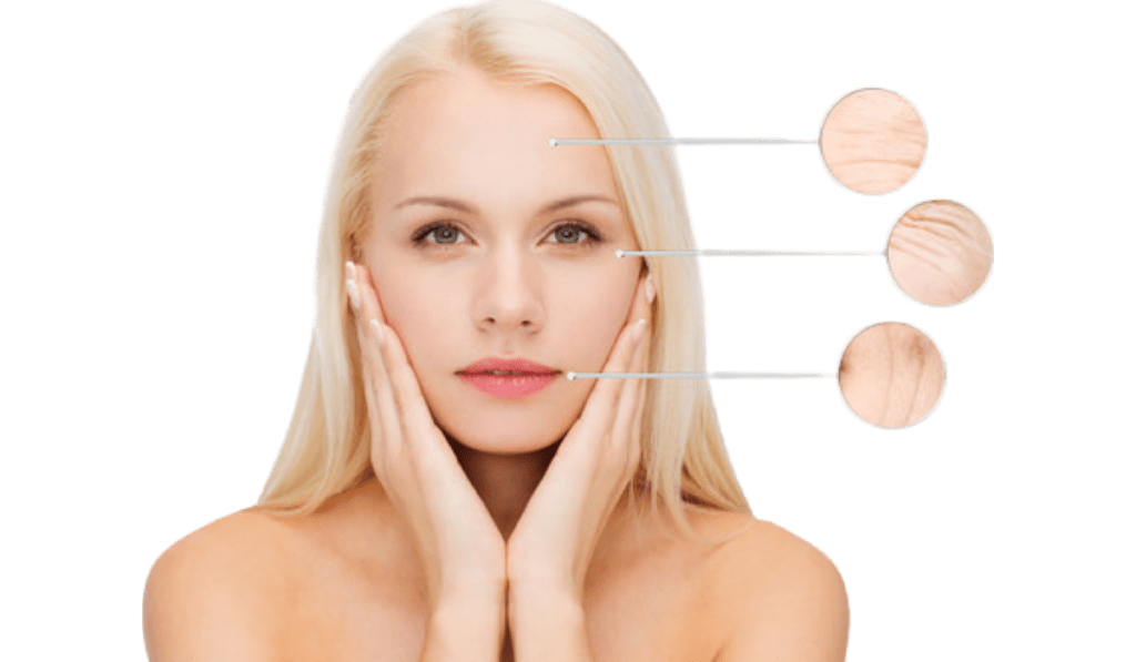 Cosmeceutical - BIOFAC A/S