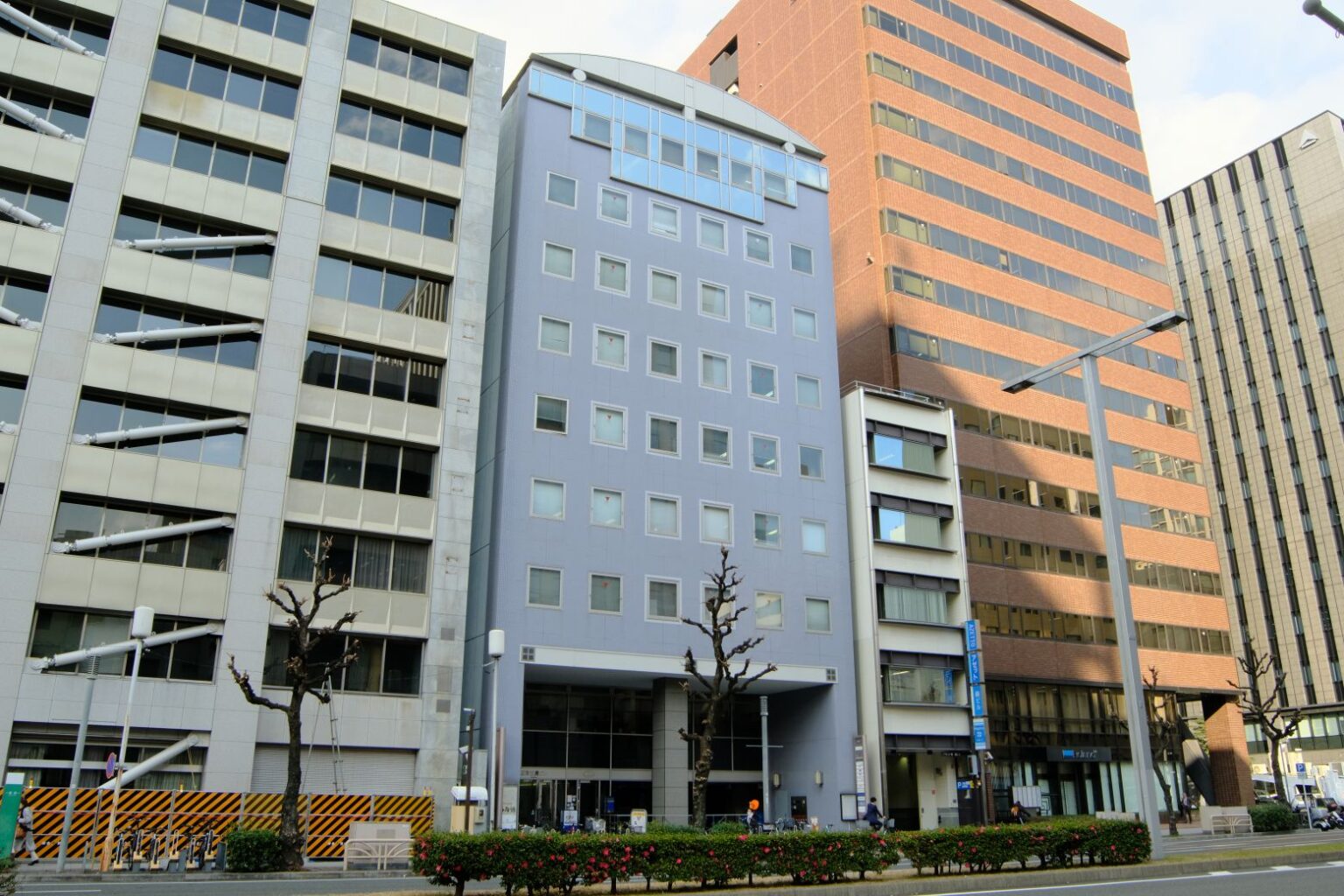 Biofac Japan Ltd - BIOFAC A/S