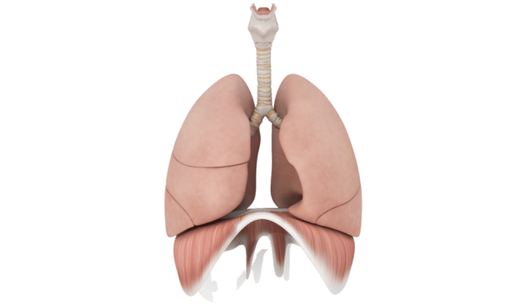 Oral Health - BIOFAC A/S