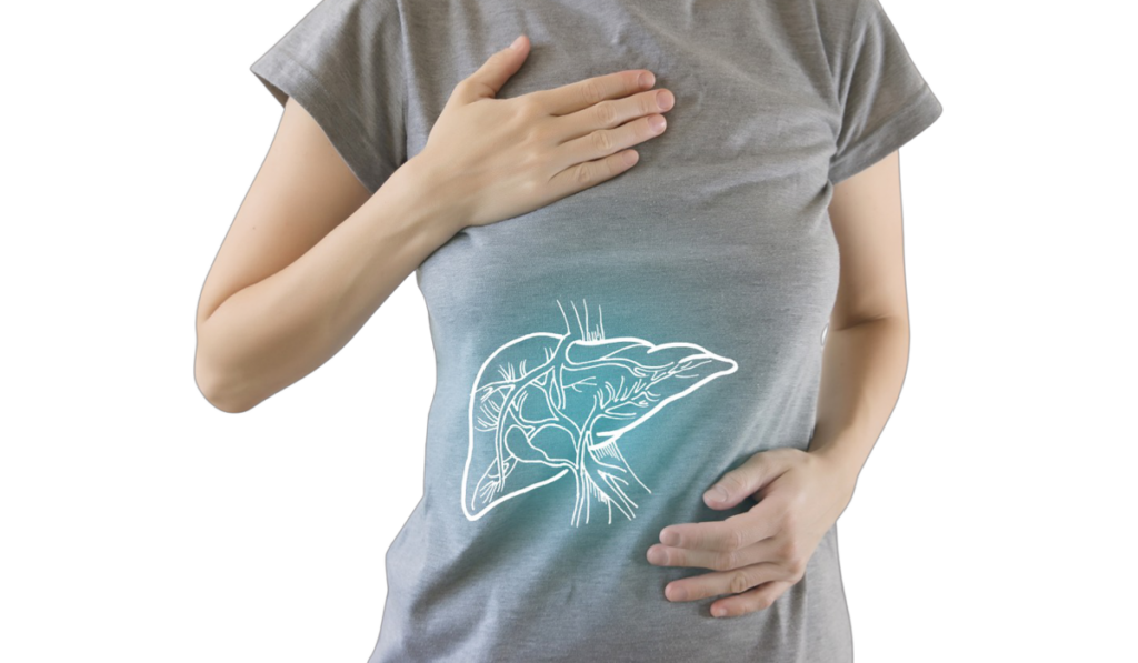 Liver Health - BIOFAC A/S